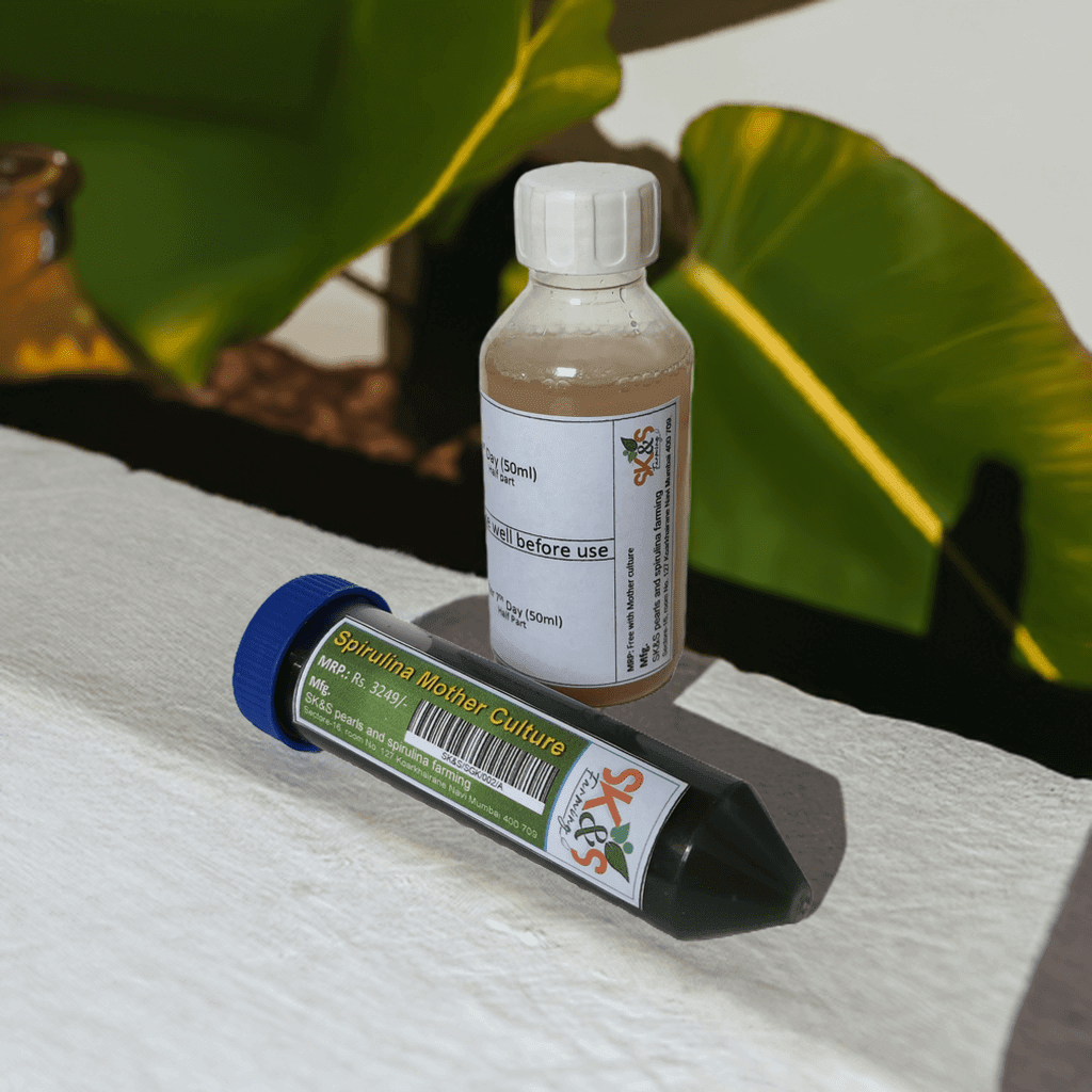 spirulina culture method